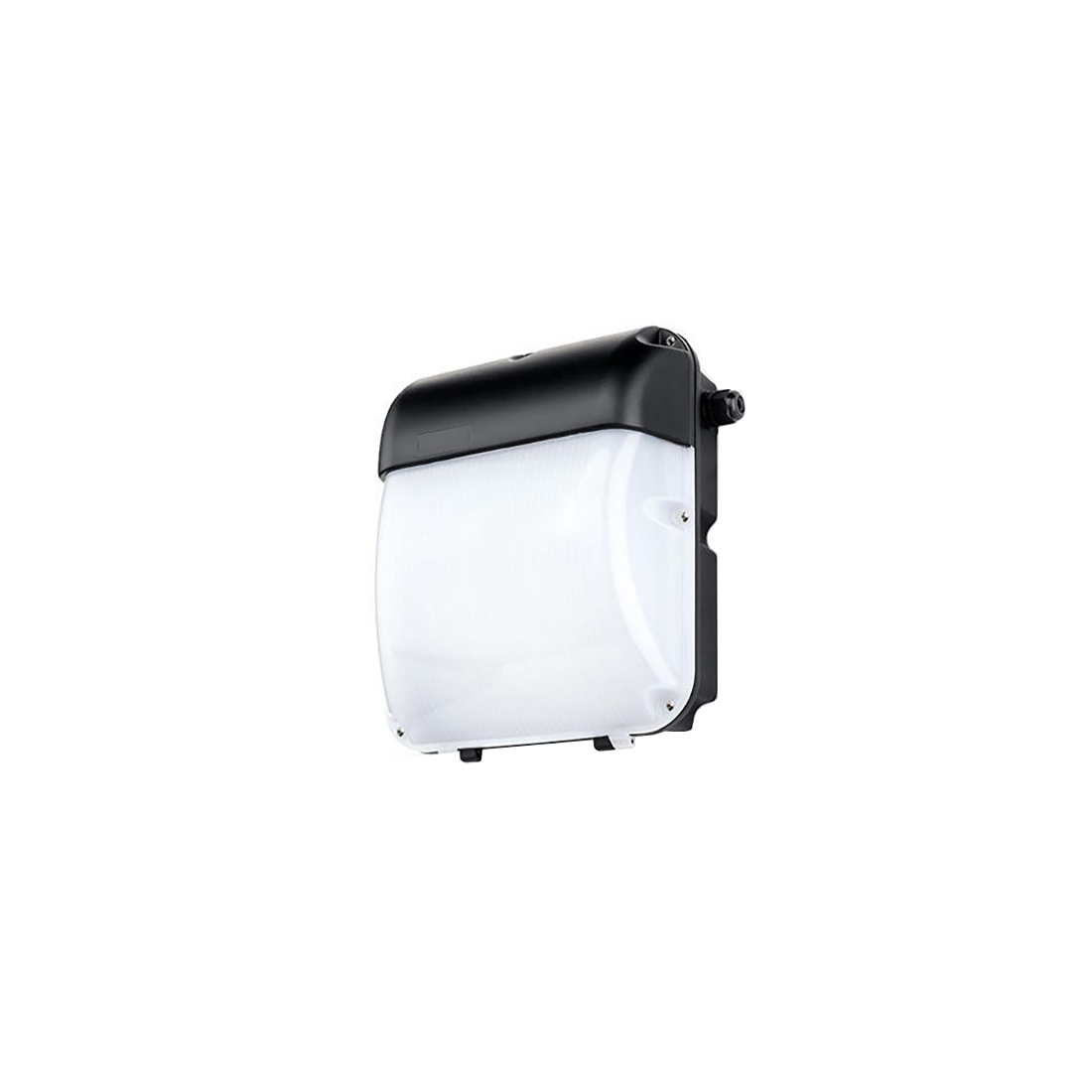 JCC Lighting JC130005 Black Aluminium Emergency 30W 2600Lm IP65 Outdoor ...